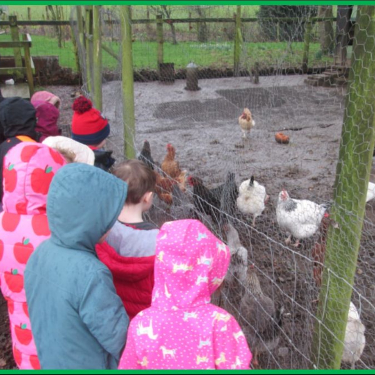 The Piggott School - Our Rushall Farm Adventure By Foundation Class